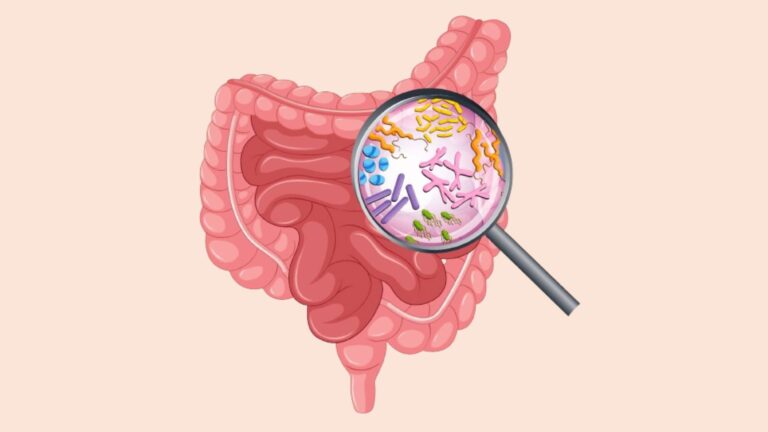 What is H. Pylori Infection and How It Affects Your Stomach Health ...